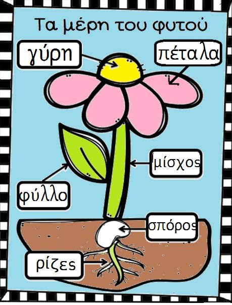 ΜΕΛΕΤΗ ΠΕΡΙΒΑΛΛΟΝΤΟΣ – Τα Τριτάκια-Αστεράκια του Γ'3