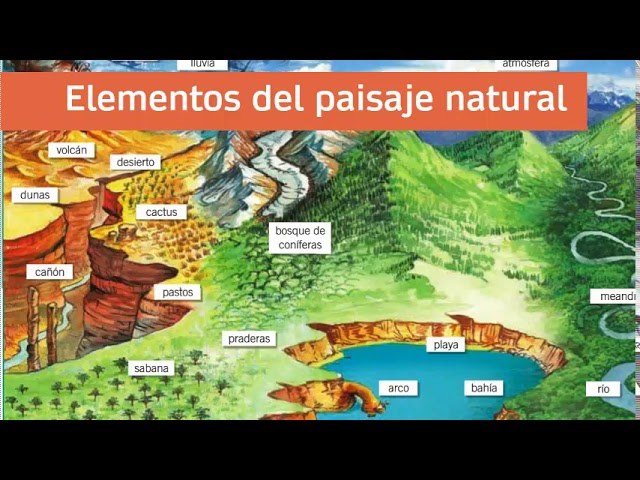 Elementos del Paisaje Natural, Octavo Grado 08-09-2020Hostoria y ...