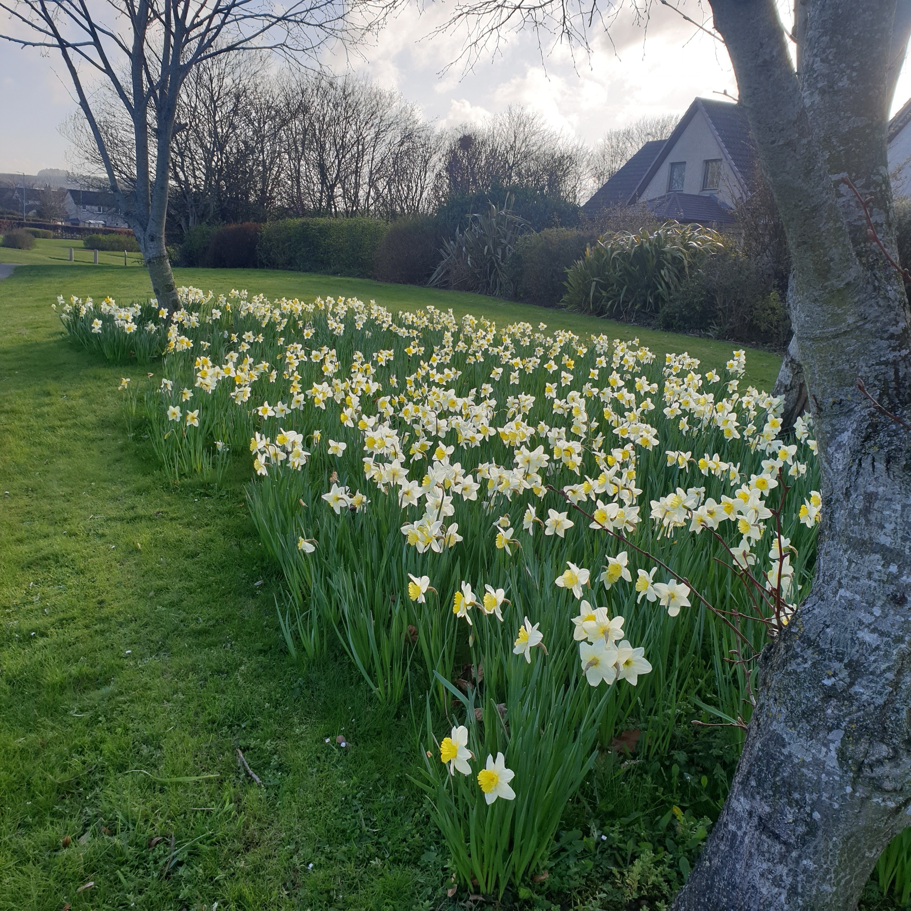 Kincardine and Mearns Summer edition 2023 « K&M Communities