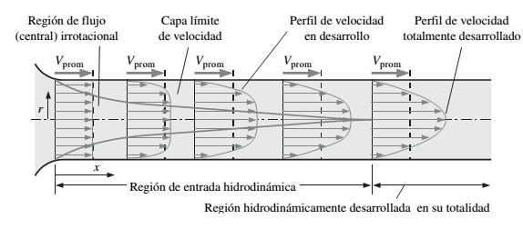 Imagen3.png