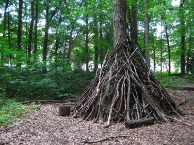 Forrest Kindergarten | Lynburn Primary School